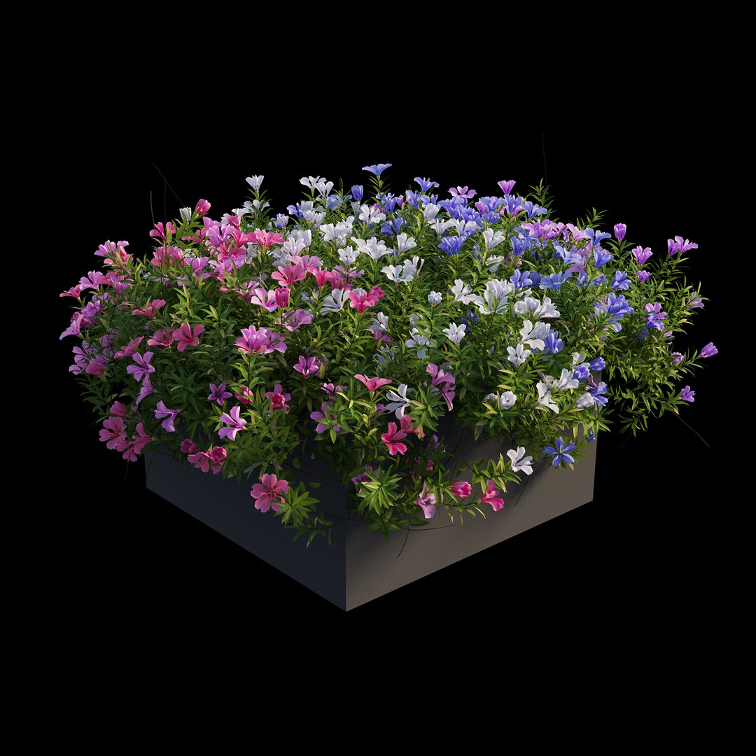 Plant Flower Set 04 Model - TurboSquid 1533562