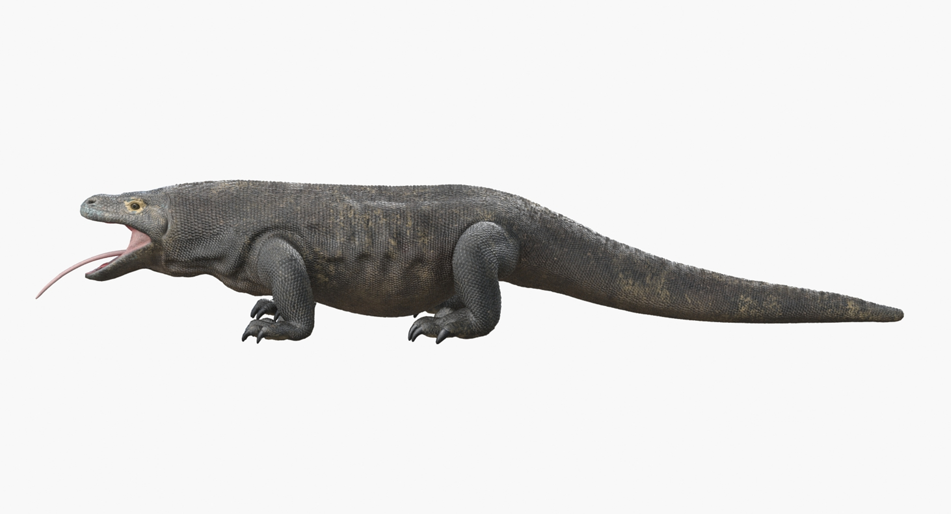 Komodo Dragon Rigged 3D Model - TurboSquid 1376646