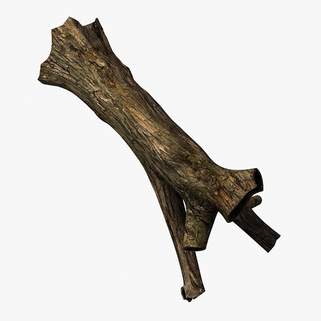 Tree Log 3d 3ds
