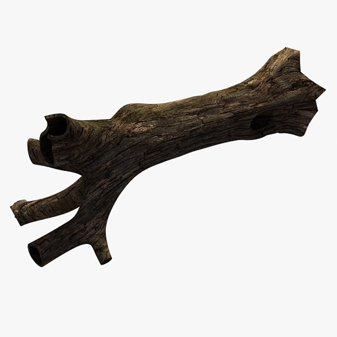 Tree Log 3d 3ds
