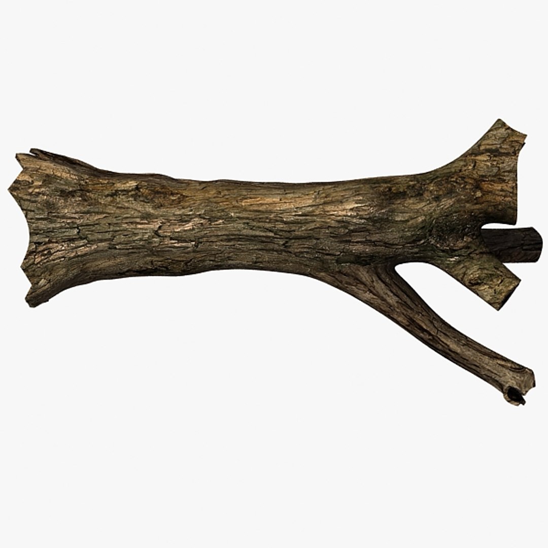 Tree Log 3d 3ds