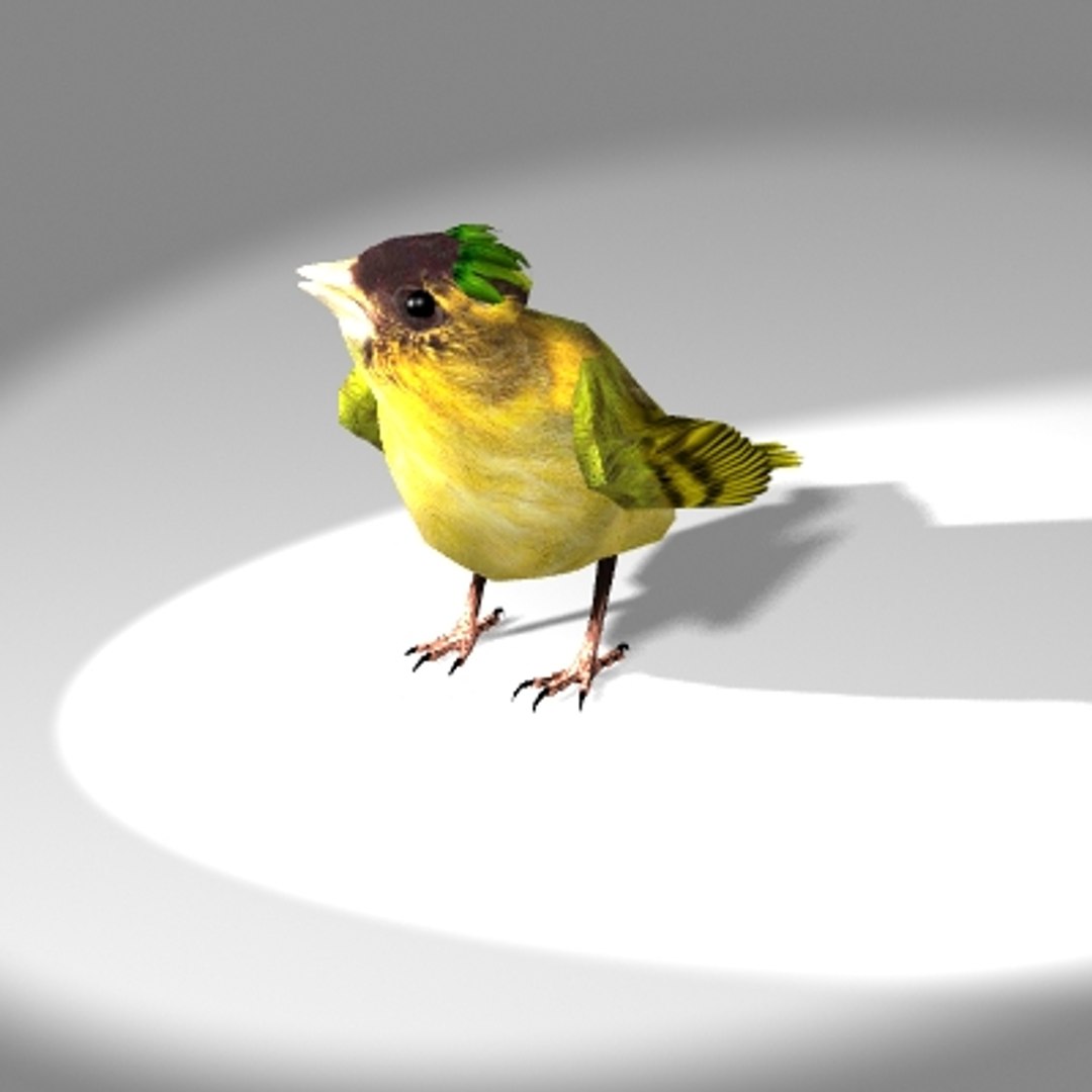 Lwo Cute Songbird Siskin Bird Flying