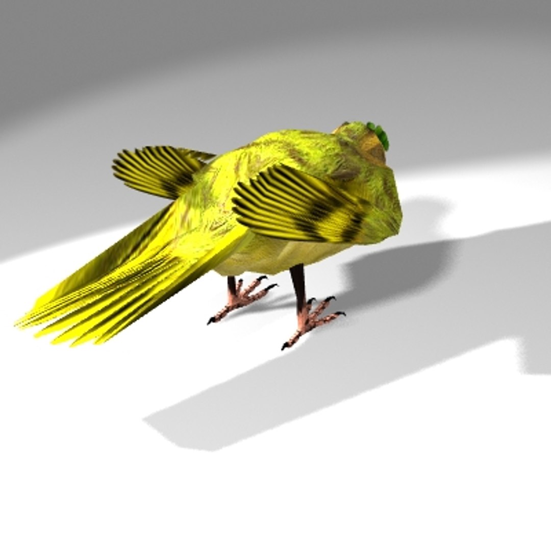 Lwo Cute Songbird Siskin Bird Flying