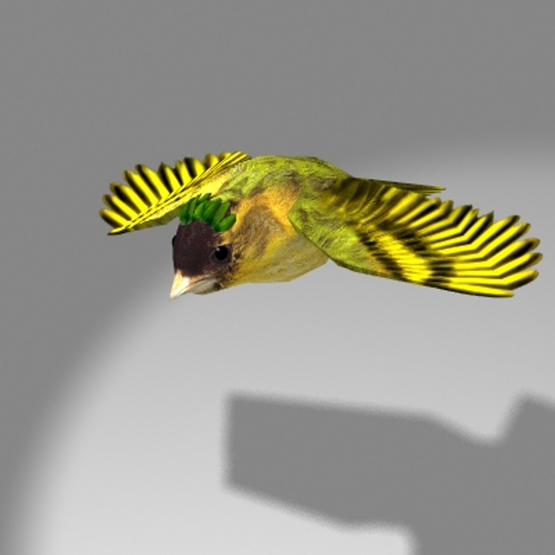 Lwo Cute Songbird Siskin Bird Flying