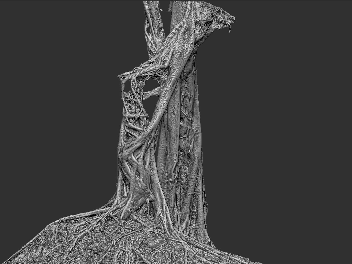 Obj Jungle Liane Tree 16k