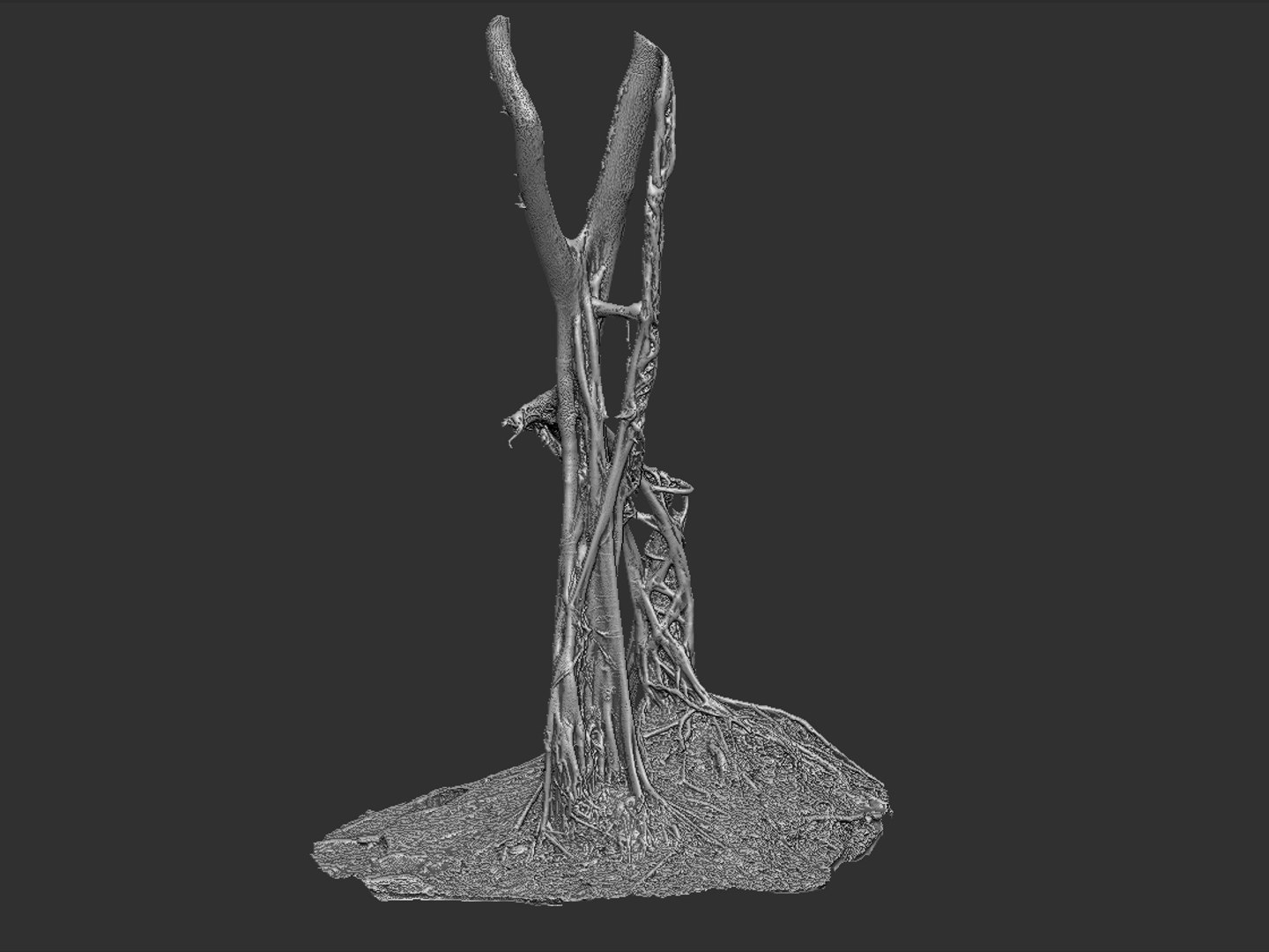 Obj Jungle Liane Tree 16k