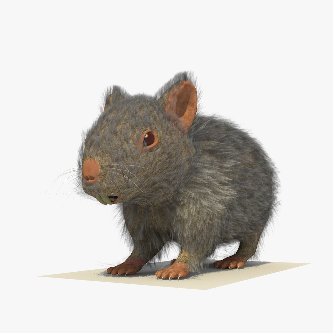 3d Model Grey Hamster Fur