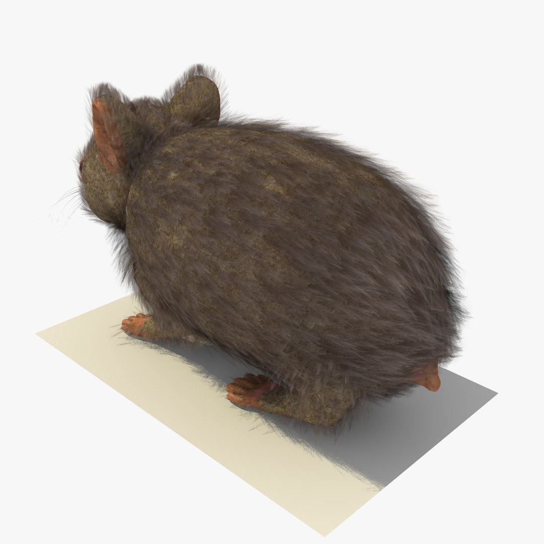 3d Model Grey Hamster Fur