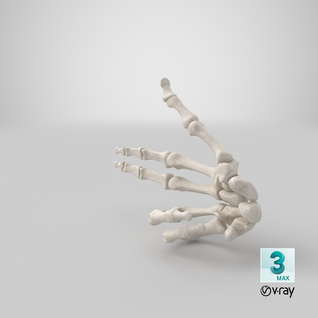 3D Human Hand Bones White - TurboSquid 1610615