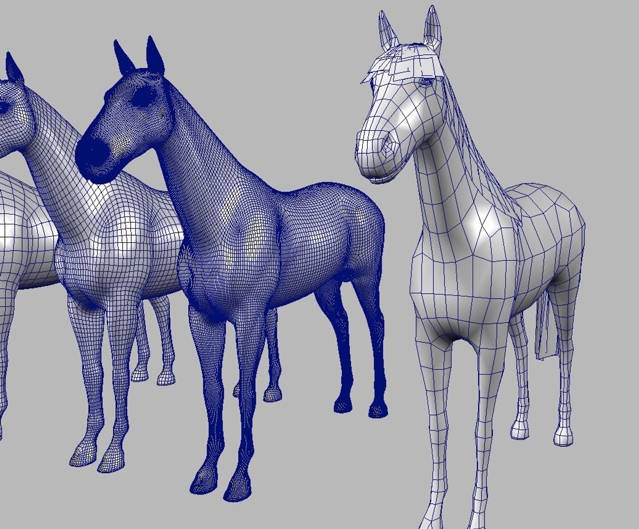 Realistic Horse Animation 3d Model