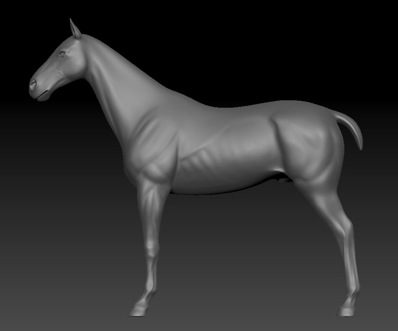 Realistic Horse Animation 3d Model