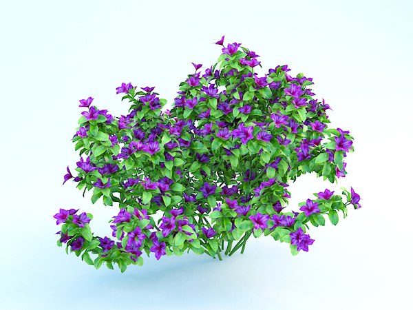 Azalea 3D Models for Download | TurboSquid