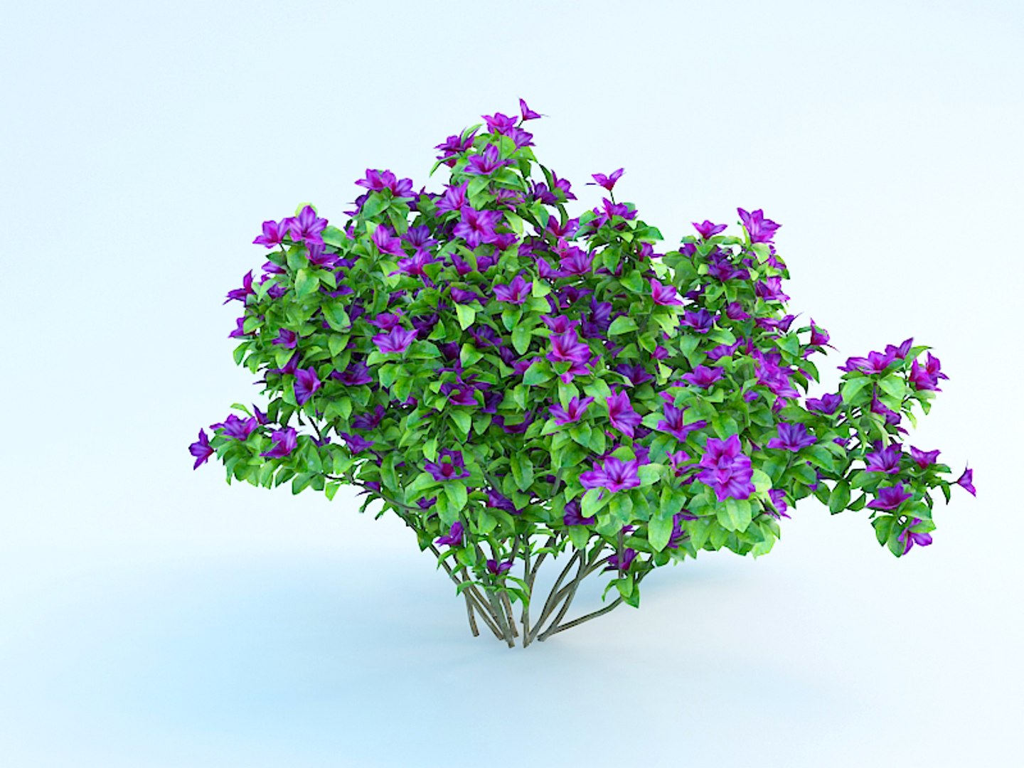 3d Flowering Azalea