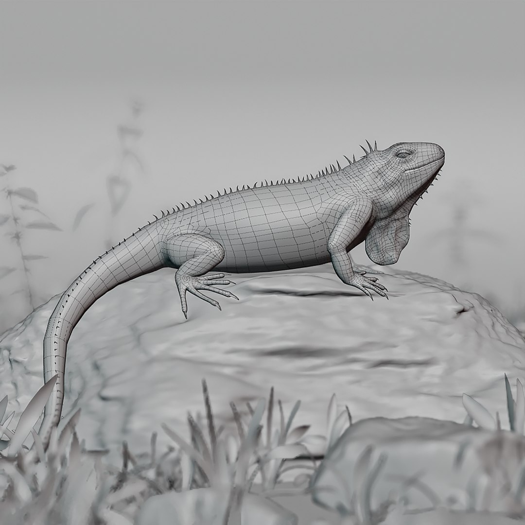 3D Realistic Iguana Game Ready Model - TurboSquid 1834053