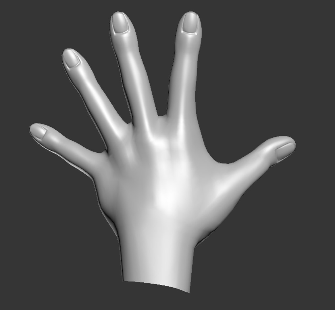 3D model spline hand sculpt - TurboSquid 1339983