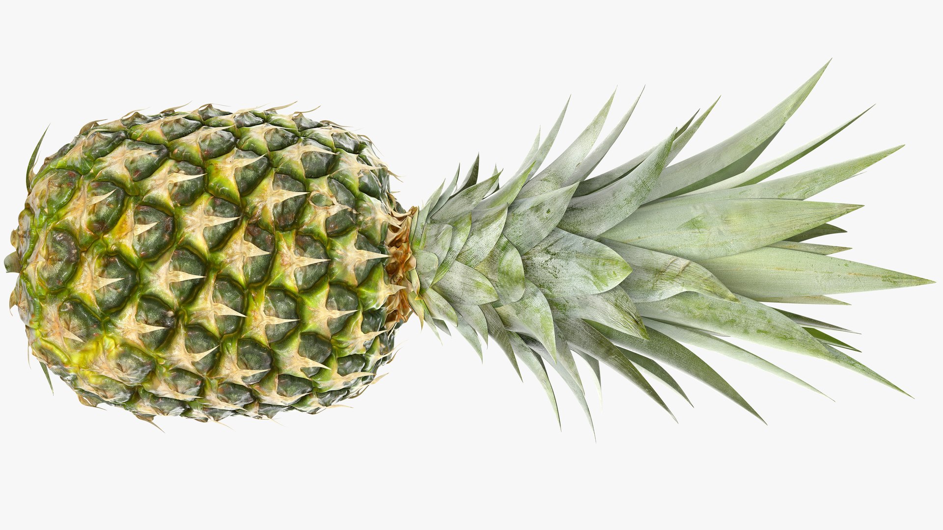 3D Ultra Detailed Pineapple Model - TurboSquid 1825446