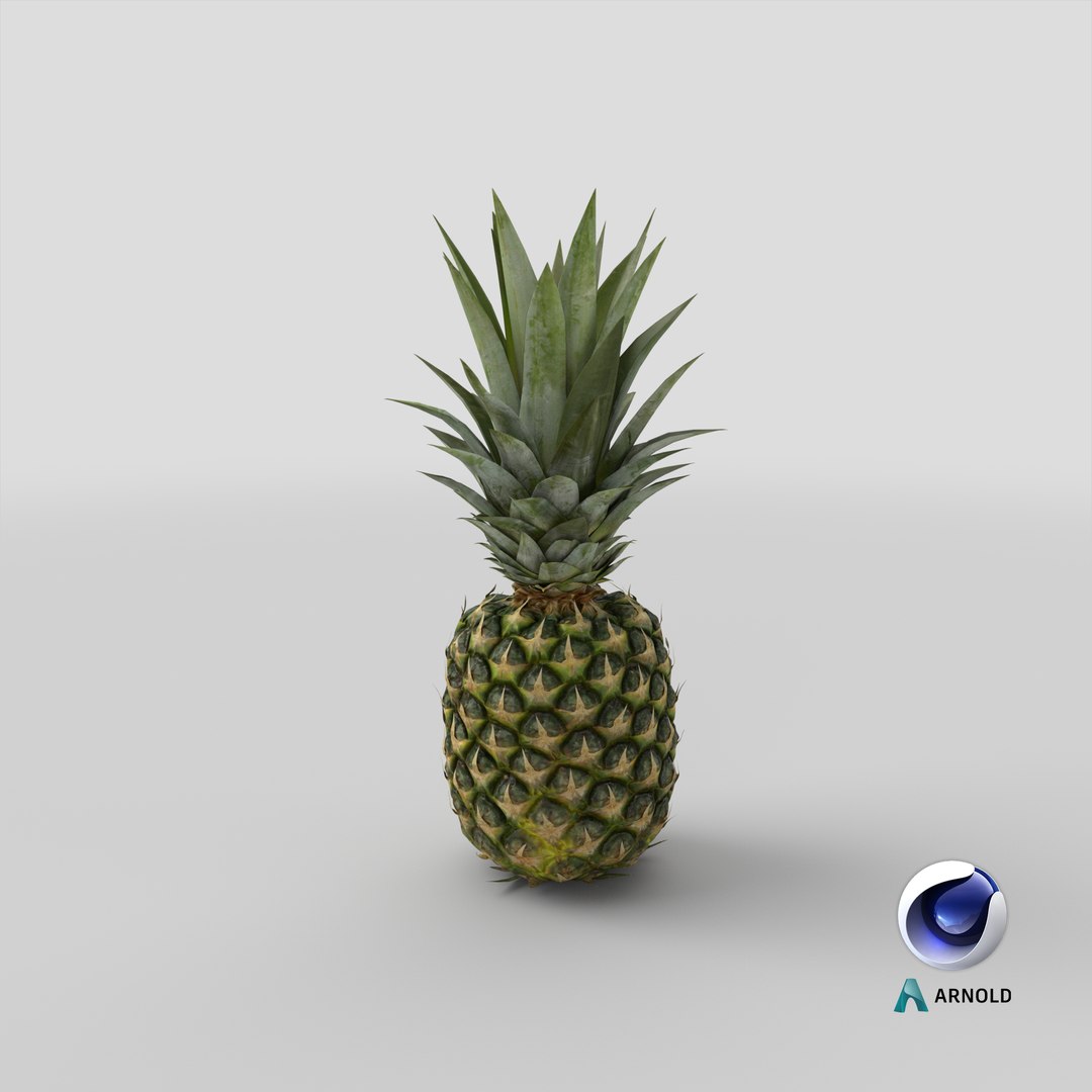 3D Ultra Detailed Pineapple model - TurboSquid 1825446