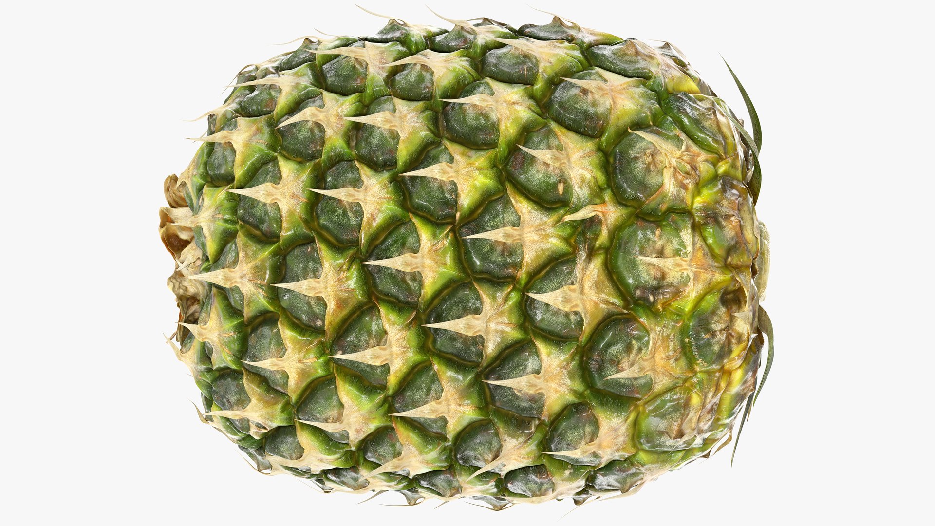 3D Ultra Detailed Pineapple Model - TurboSquid 1825446