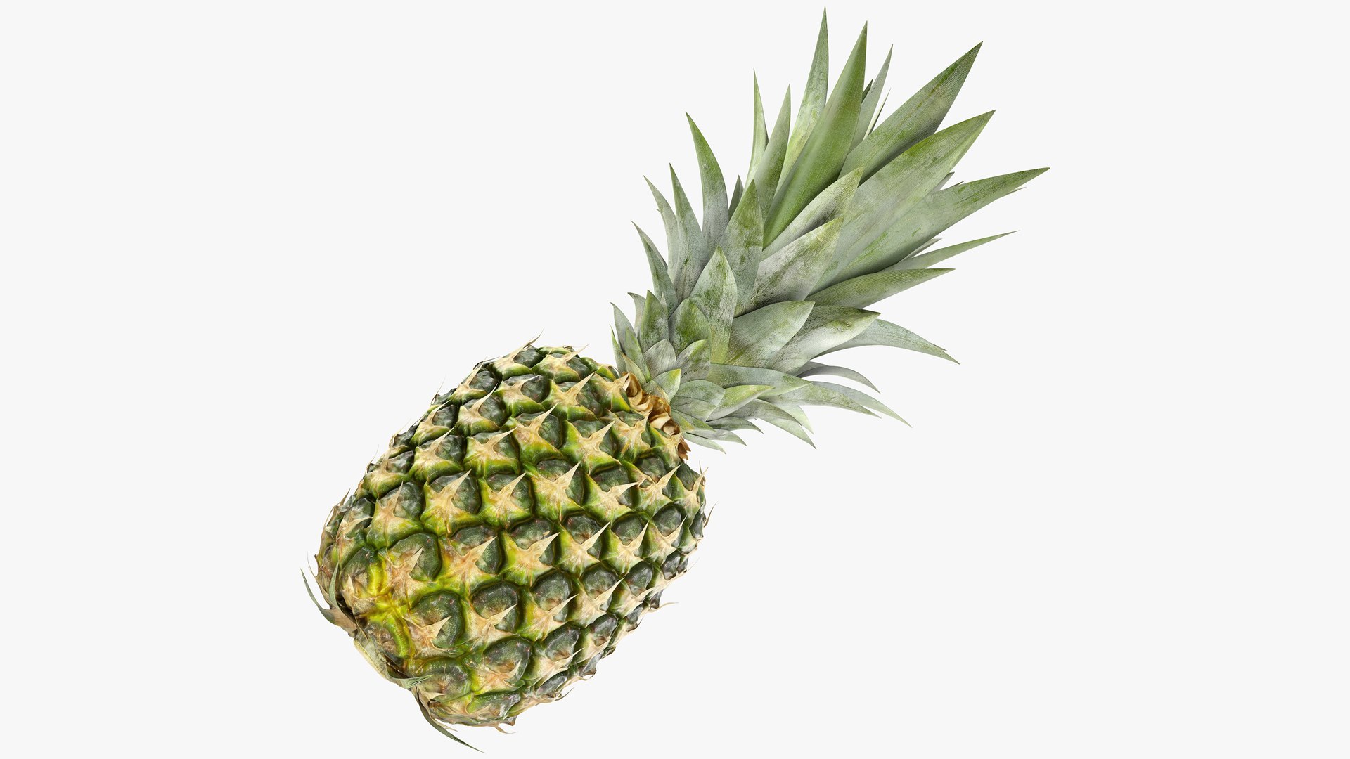 3D Ultra Detailed Pineapple Model - TurboSquid 1825446