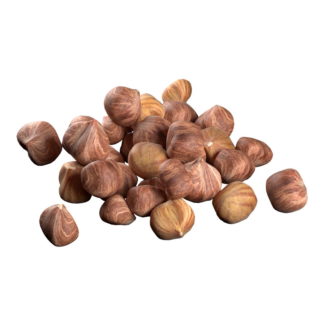Hazelnut Kernel Pile 3D Model - TurboSquid 2397457