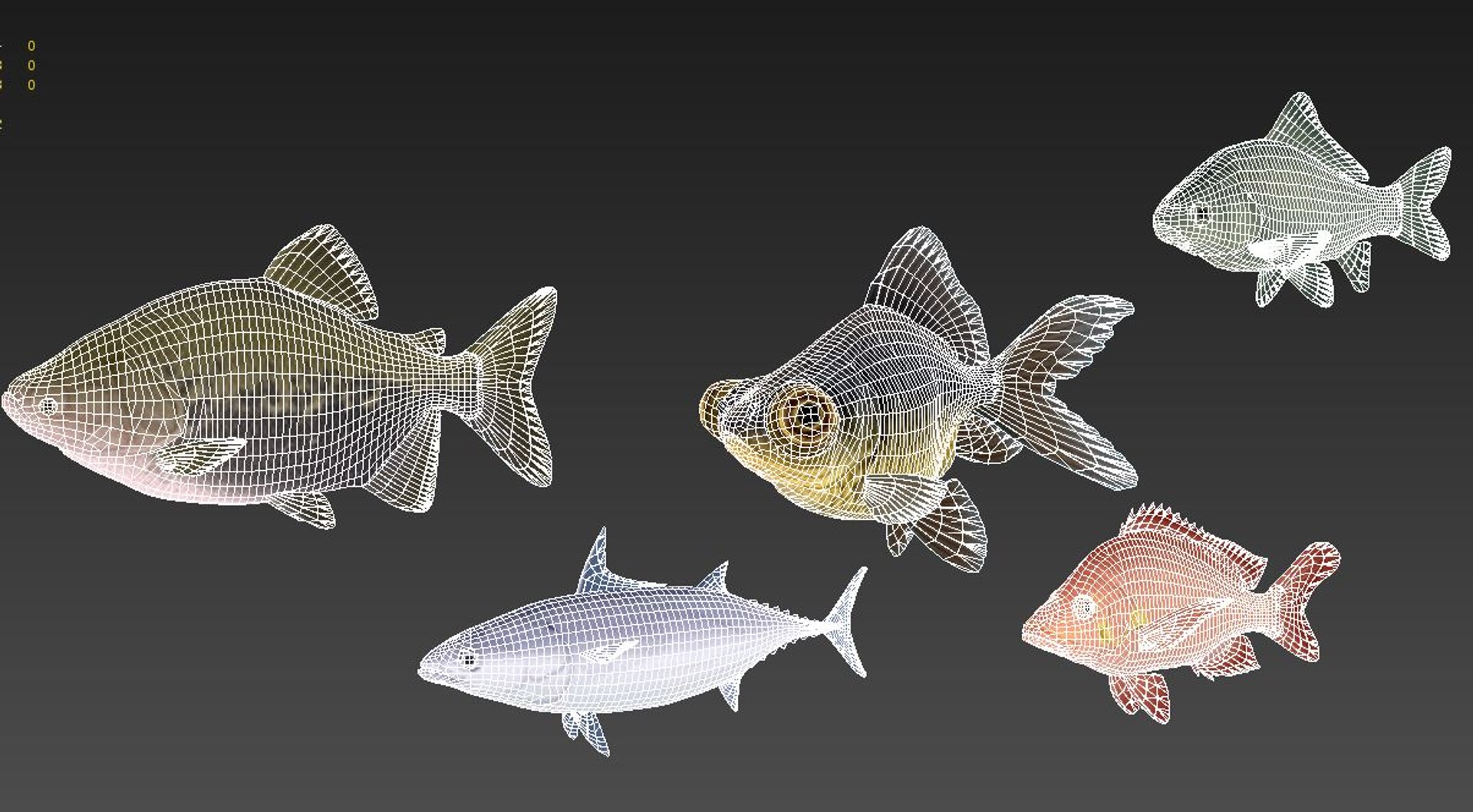 Fish 02 3D Model - TurboSquid 1261961