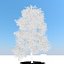3d realistic birch trees