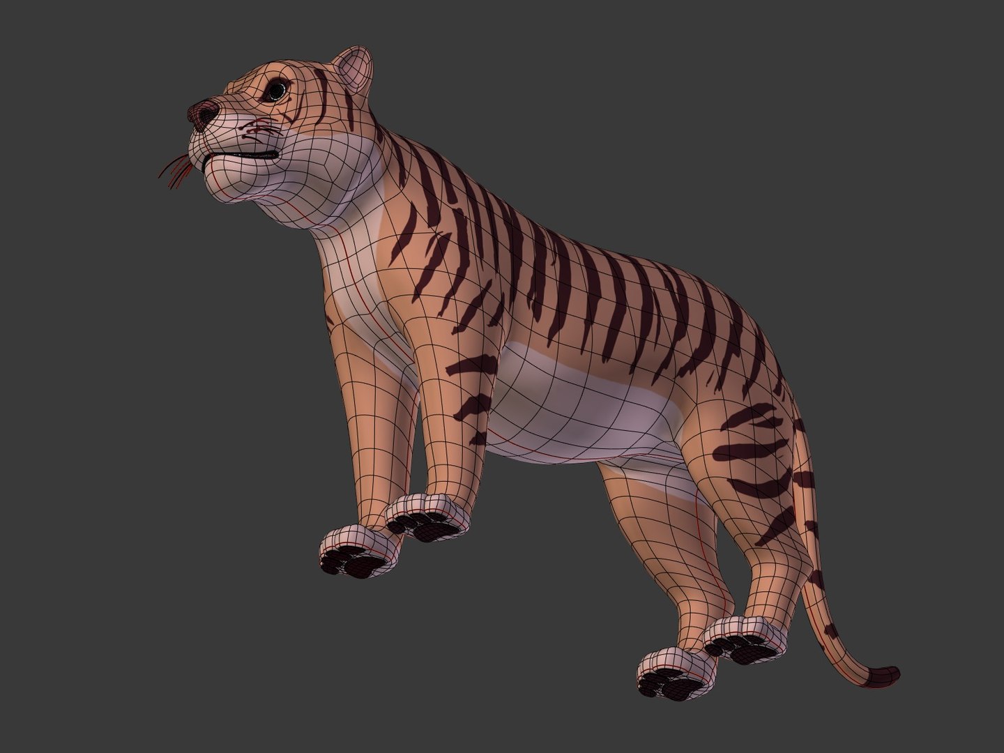 3D Cartoon Tiger Model - TurboSquid 1552323