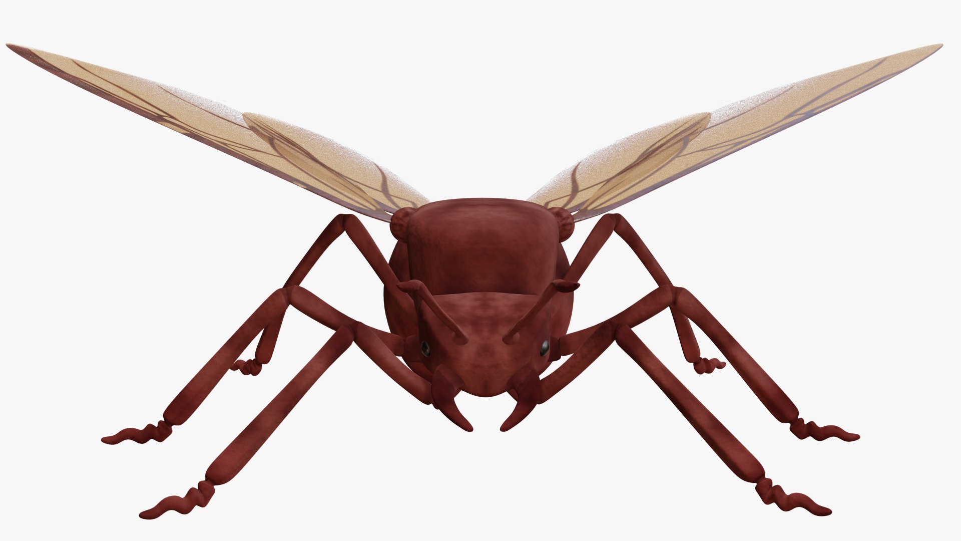 3D Ant With Wings - TurboSquid 2072693