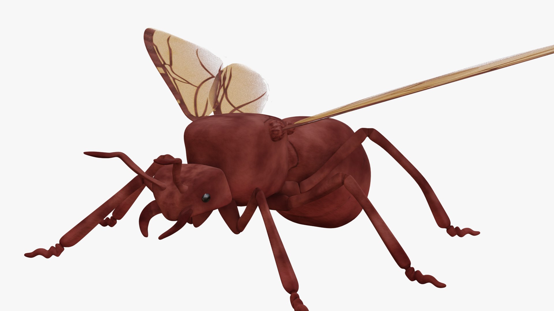 3D Ant With Wings - TurboSquid 2072693
