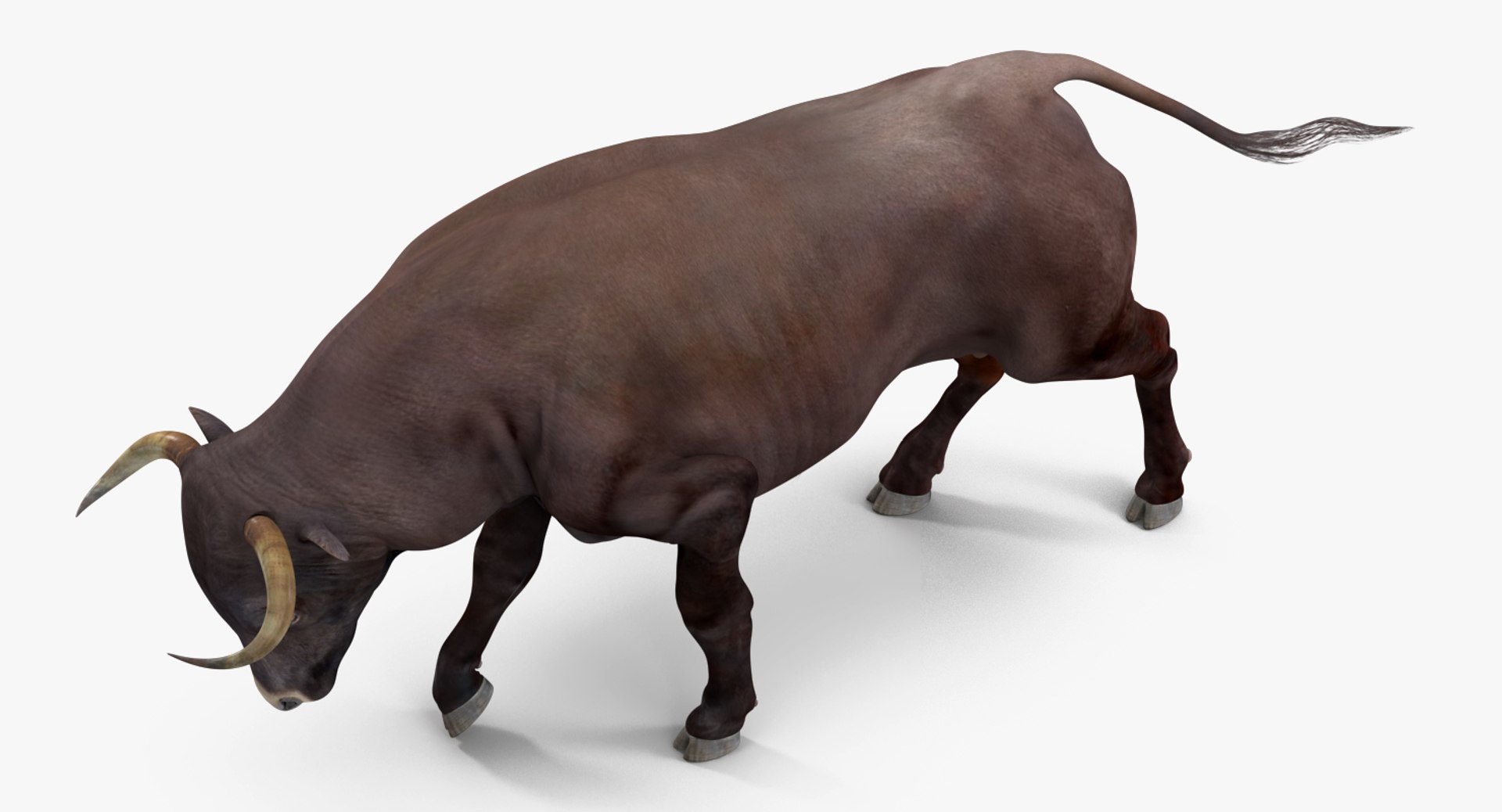 3D Bull Attacking Pose - TurboSquid 1217754