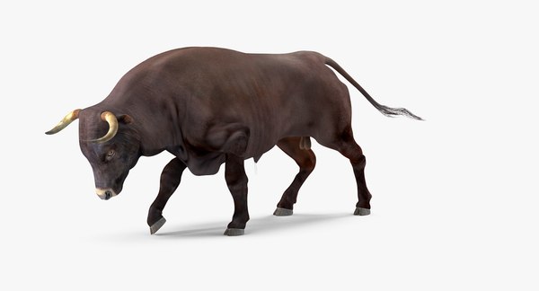 3D bull attacking pose - TurboSquid 1217754