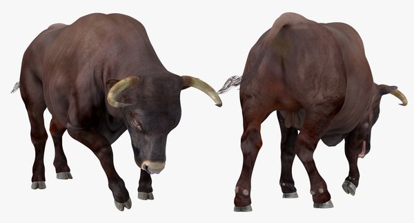3D bull attacking pose - TurboSquid 1217754