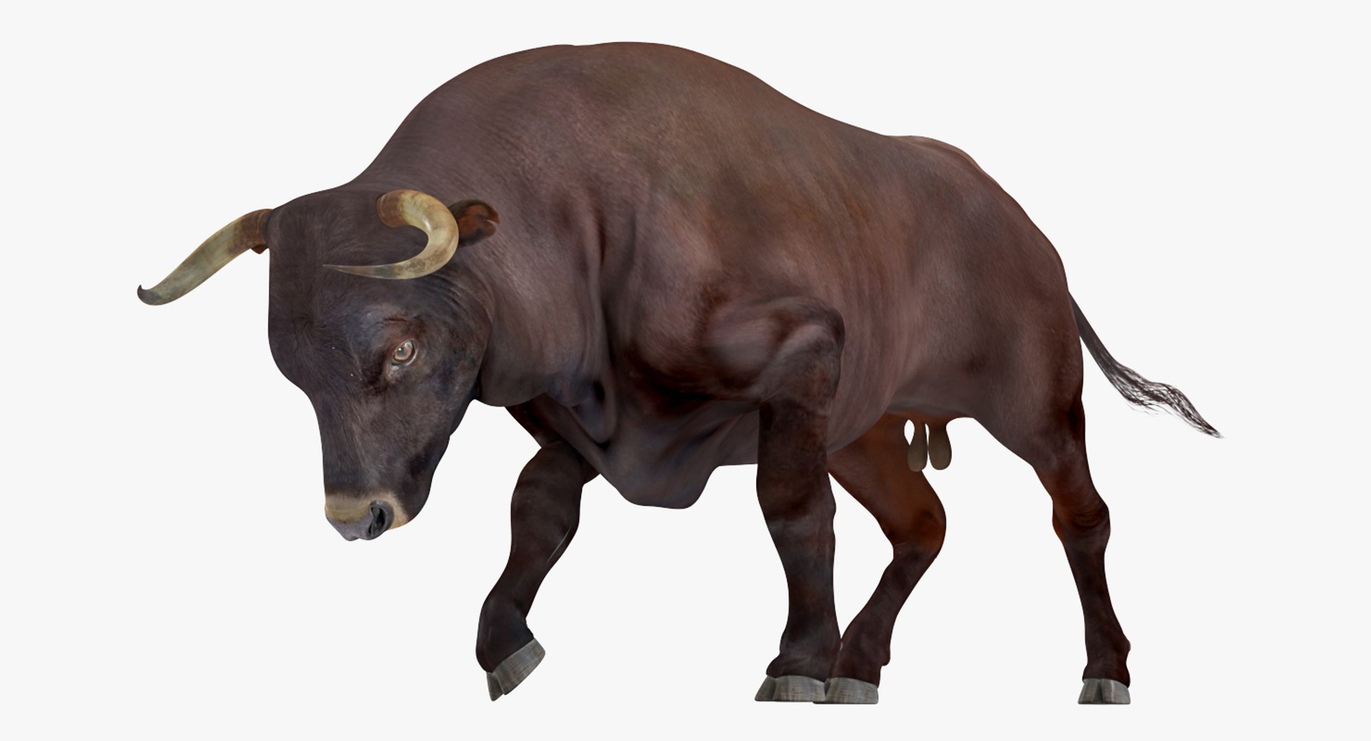 3D Bull Attacking Pose - TurboSquid 1217754