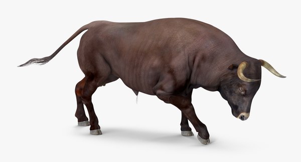3D bull attacking pose - TurboSquid 1217754
