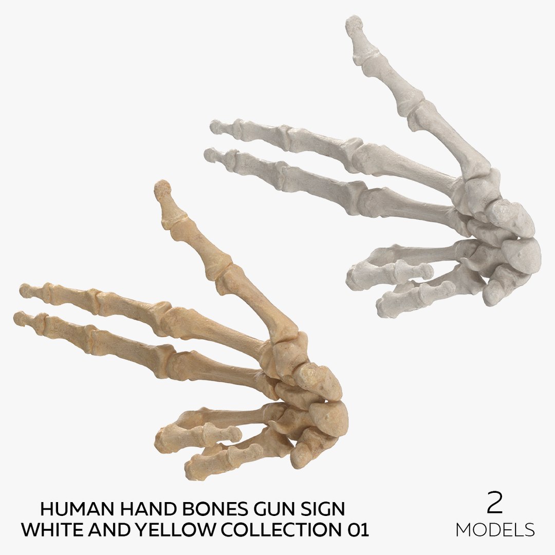 Human Hand Bones Gun Sign White And Yellow Collection 01 - 2 Models 3D ...
