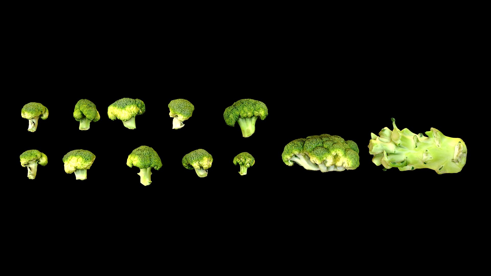 3D broccoli model - TurboSquid 1346903