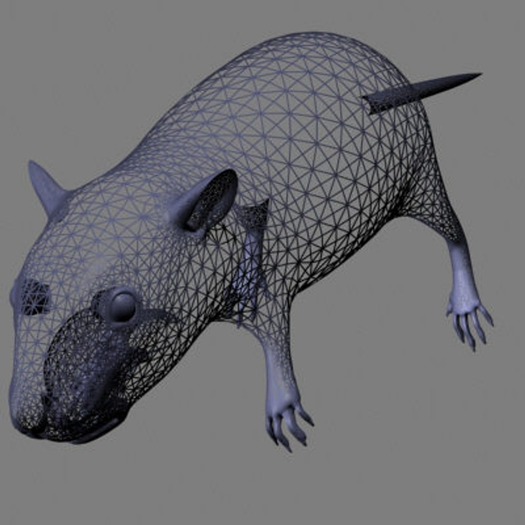 rat 3d 3ds