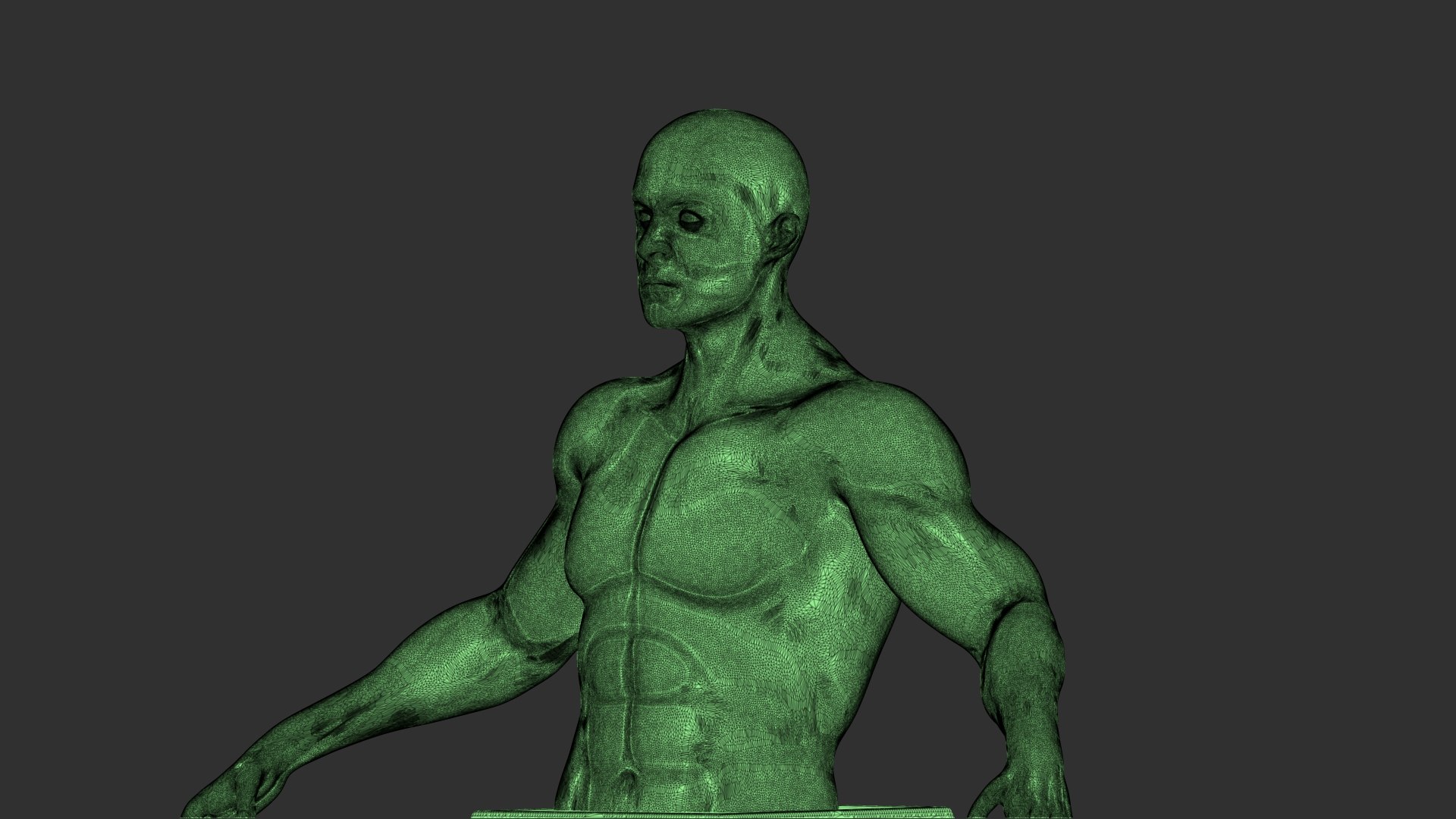 3D Male Torso Print - TurboSquid 1724422