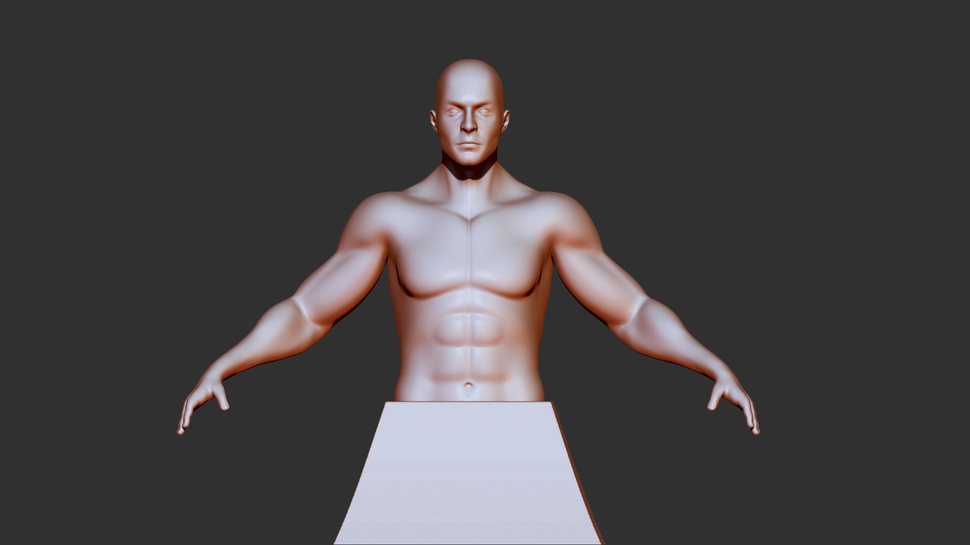 3D Male Torso Print - TurboSquid 1724422