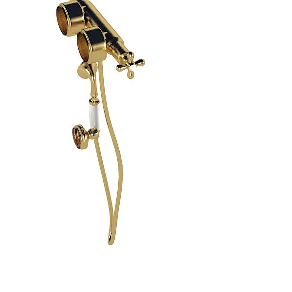 3d gigienic toilet hand model