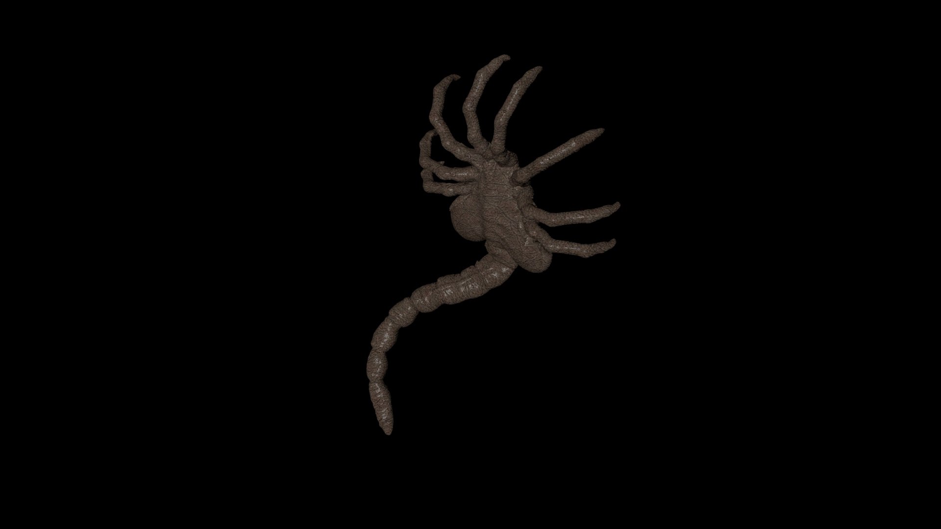 3D Alien Face Hugger - TurboSquid 2274689