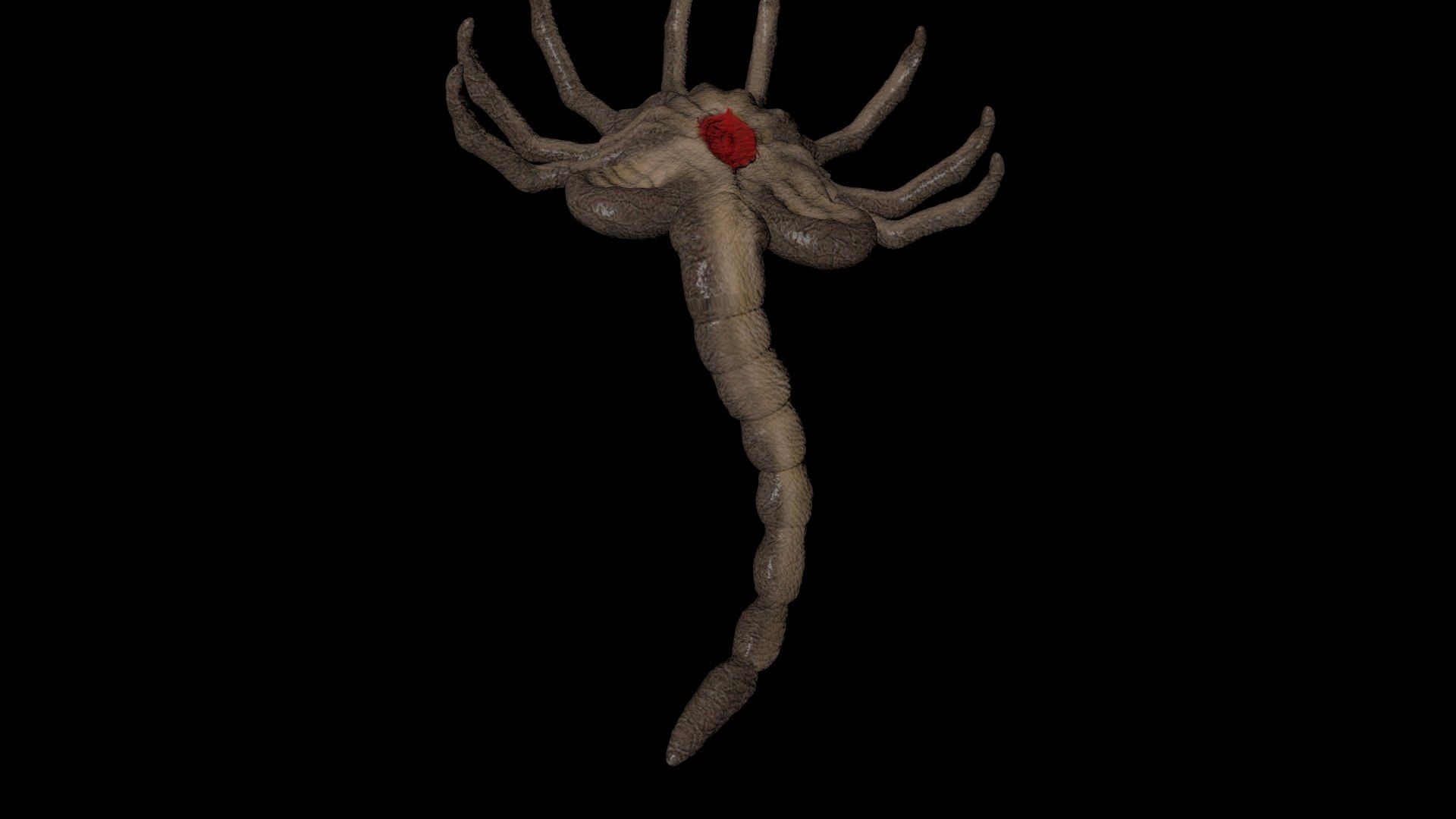 3D Alien Face Hugger - TurboSquid 2274689