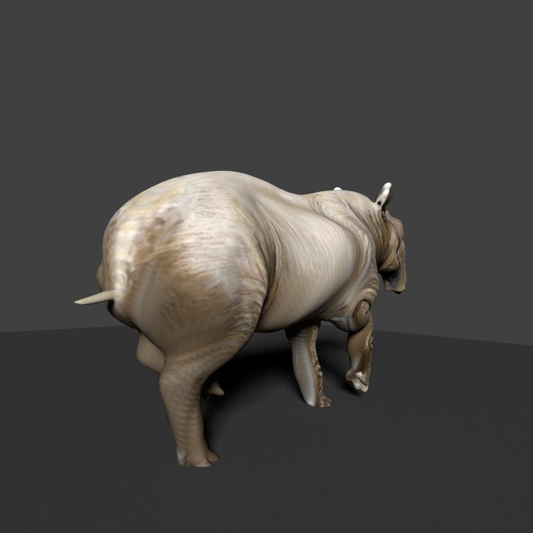 Tapir 3d Model