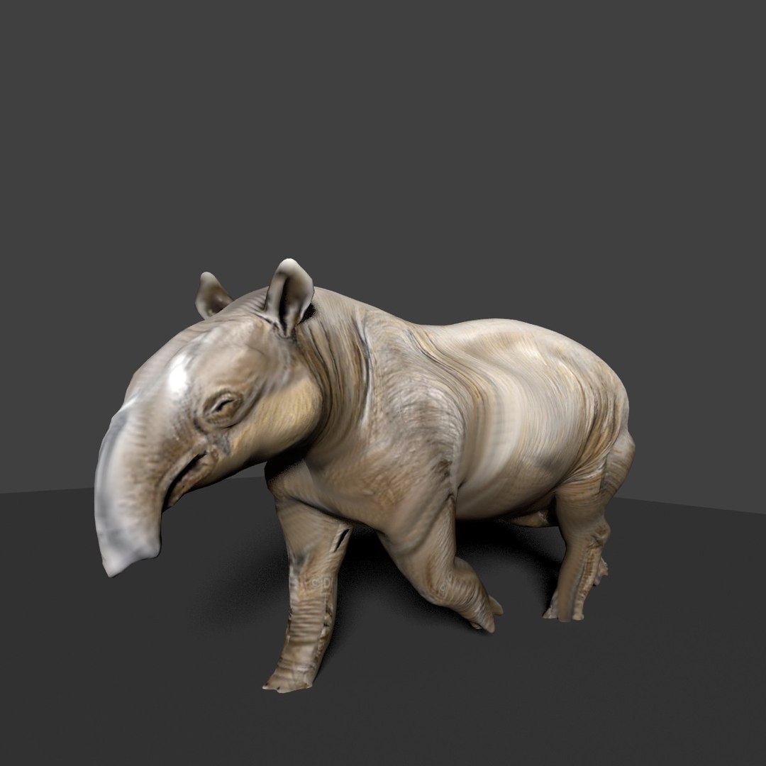 Tapir 3d Model