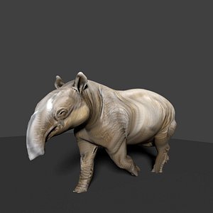 3d Prehistoric Tapir Megatapirus