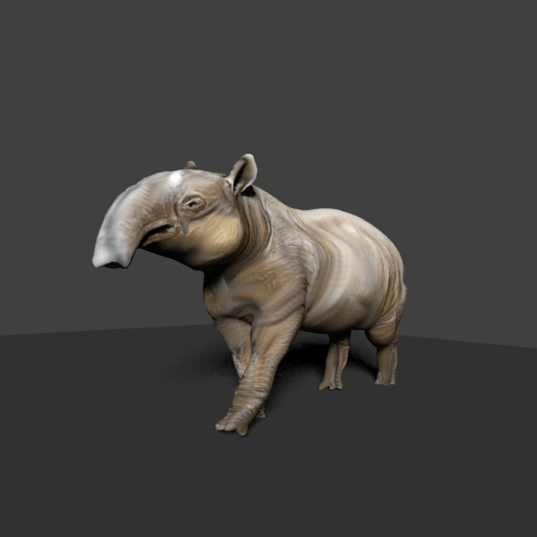 Tapir 3d Model