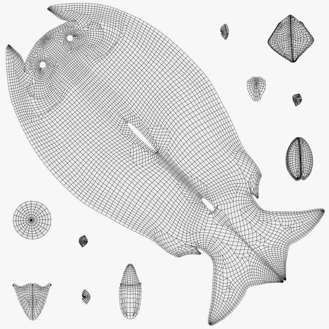 Fish TunaStylized 3D Model 3D Model - TurboSquid 2264063