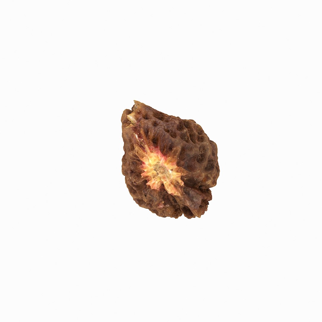 Realistic 3D Model - TurboSquid 1220082