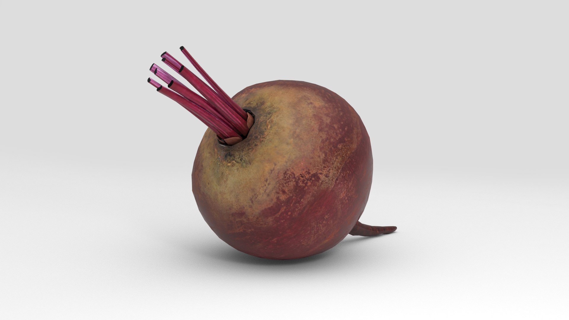 Beetroot 3D Model - TurboSquid 1903263
