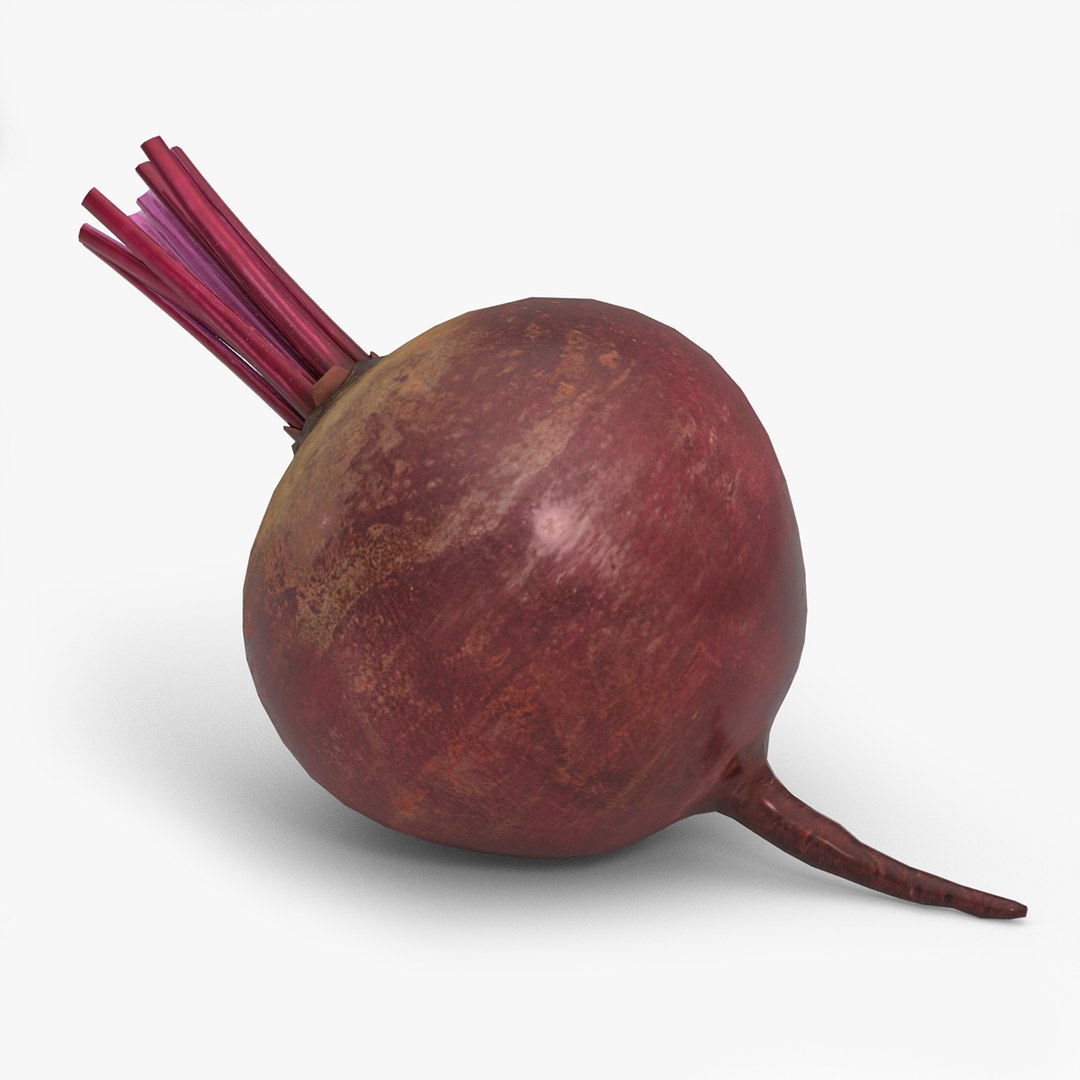 Beetroot 3D model - TurboSquid 1903263